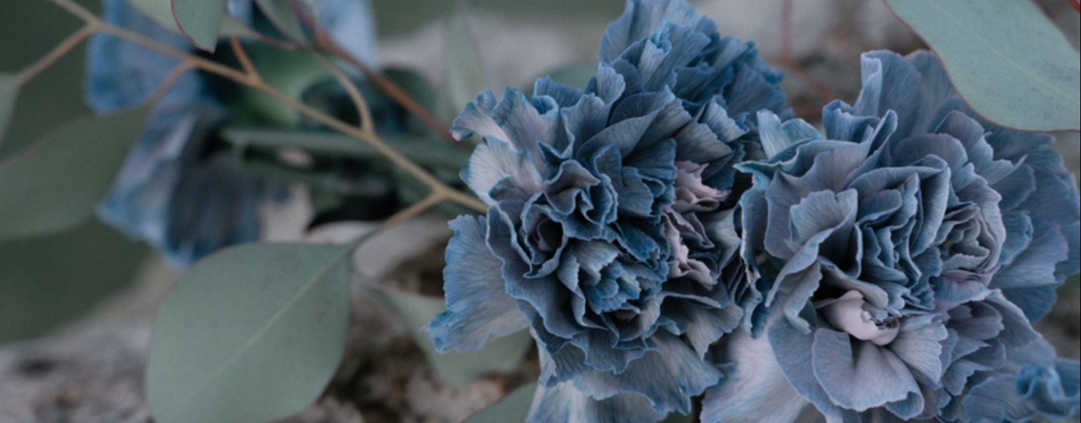 Женское здоровье