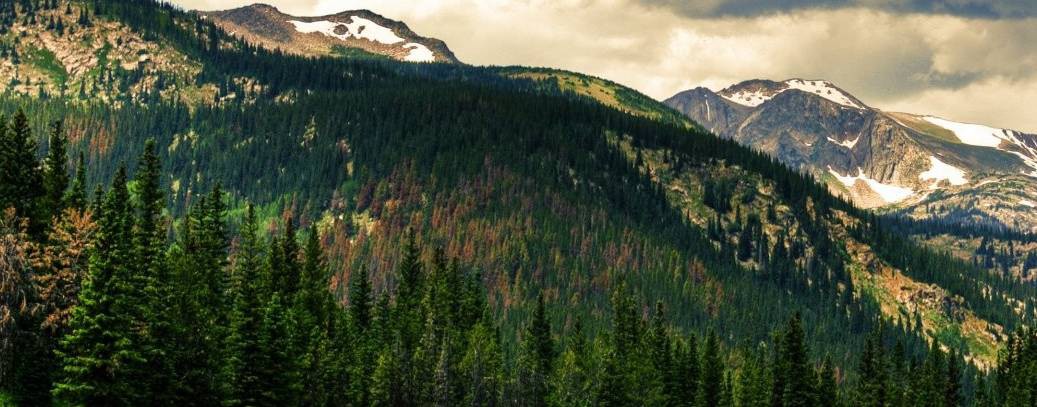 Максим песни