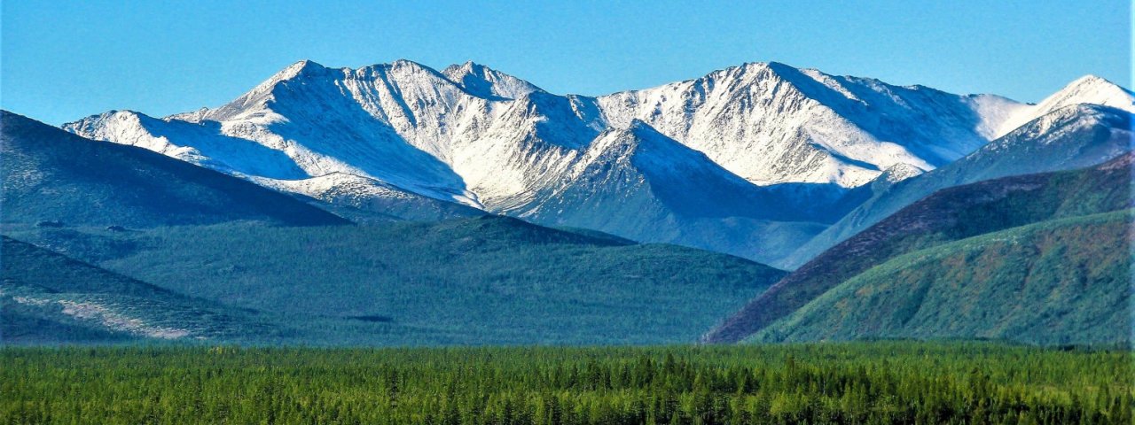 Юрий Баженов