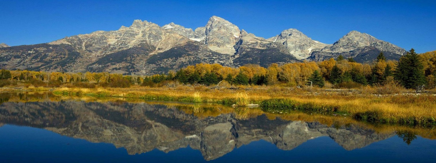 Кухня дикой природы / WILDERNESS COOKING