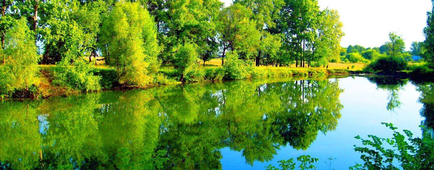 Сизов Евгений