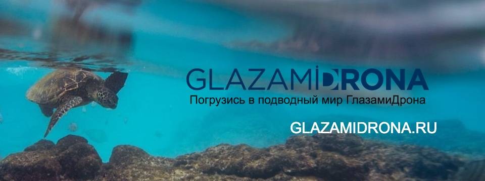 GlazamiDrona