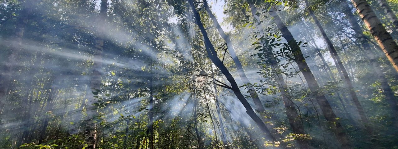 ДОРОЖНЫЙ ПОСОХ