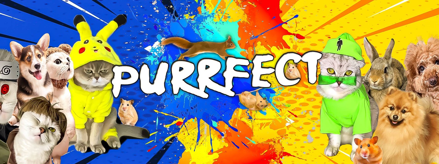 PURRFECT