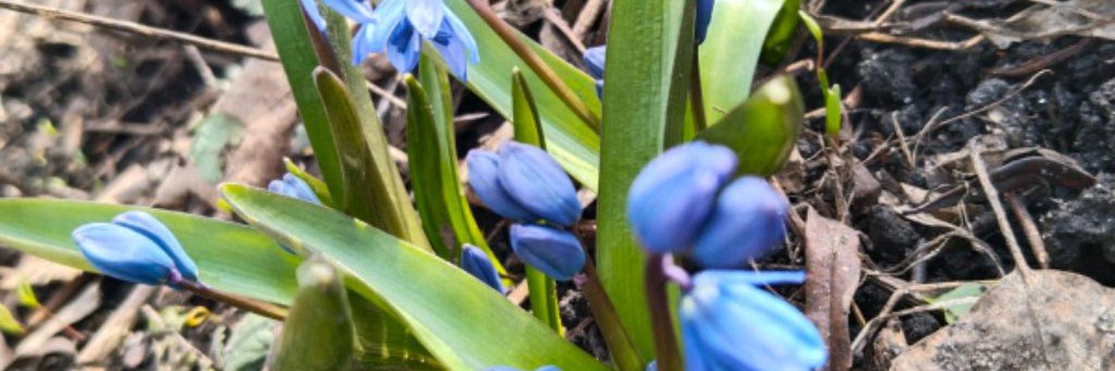 Маша и Егор