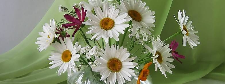 Василиса250258