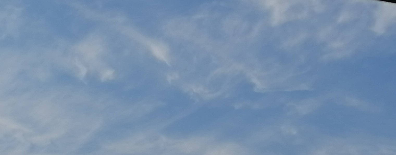 Izrael Leksan Nostradamus ILN