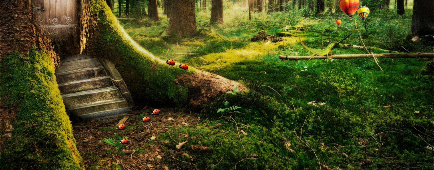 Фуфики хотят кушать