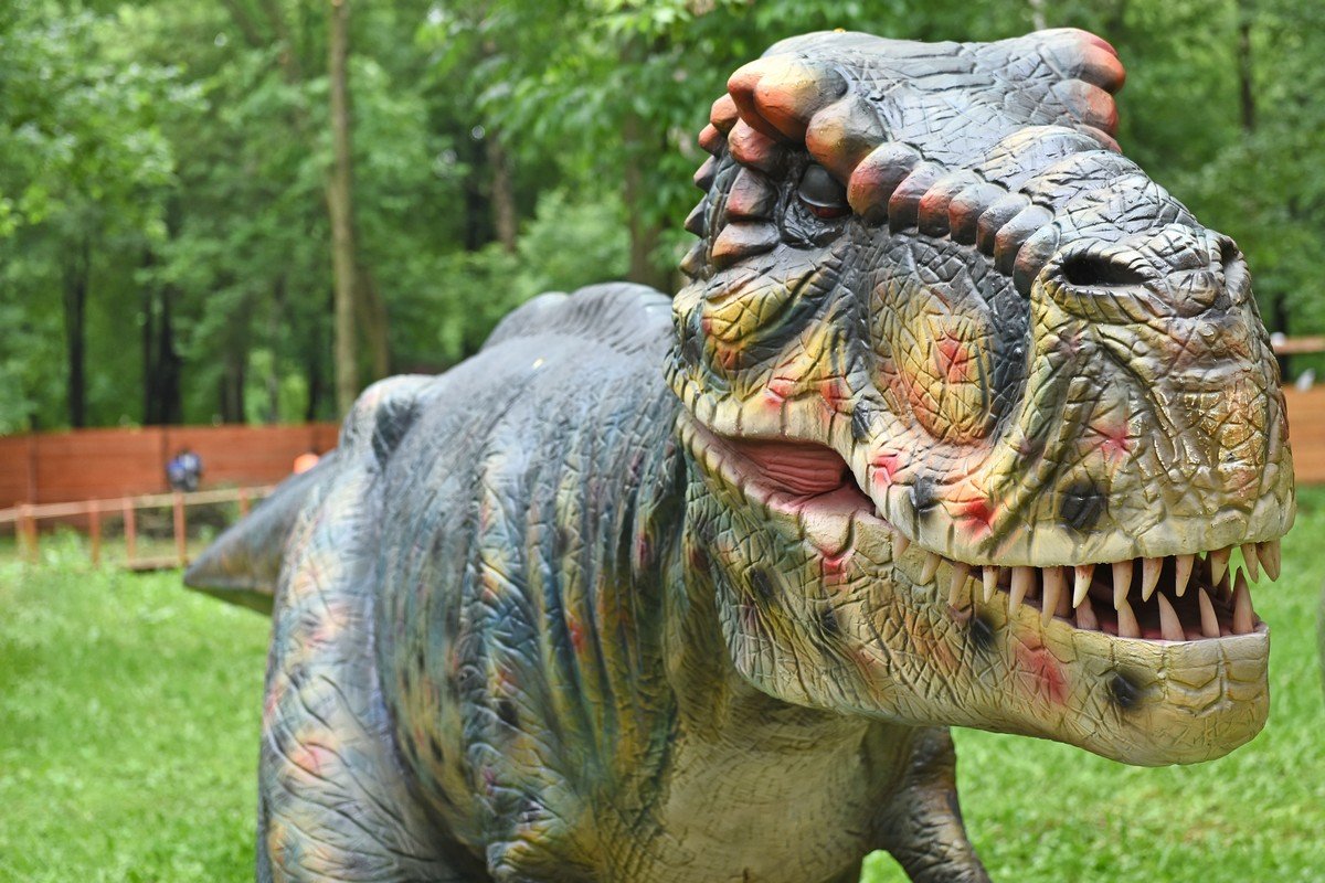 Парк динозавров! Dinosaur Park.