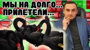 АКЦИИ ММВБ БУДУТ ПАДАТЬ! ПАНИКА!!! Прогноз курса акций Сбер, Курс доллара, инвестиции, финансы