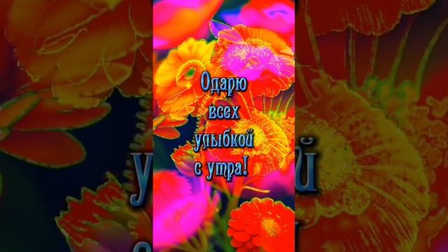 Прекрасного утра!