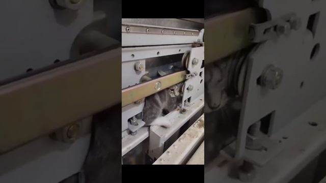 Главный инспектор! Проверка прошла успешно))