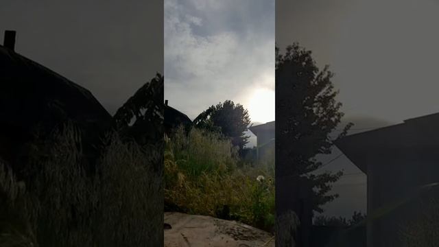 1000002256.mp4