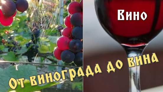 полусладкое красное вино