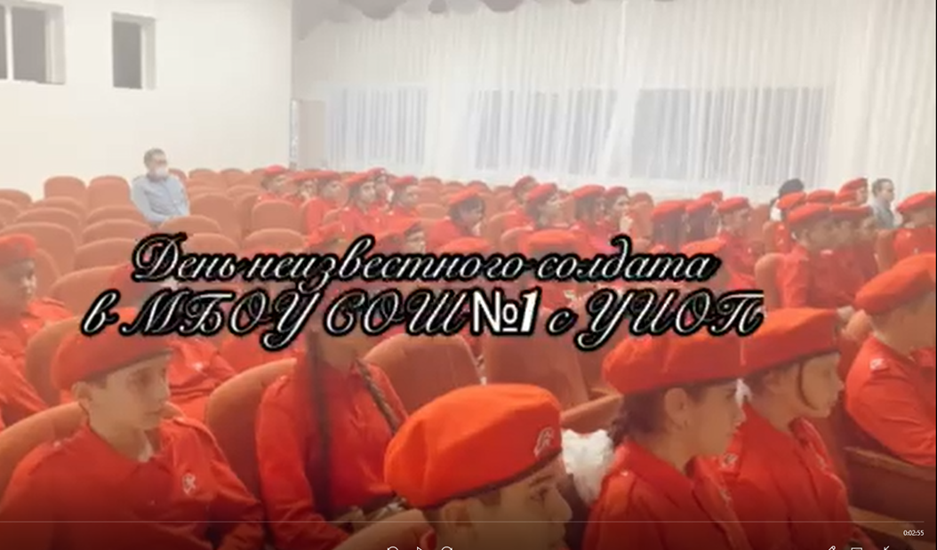 3 декабря 2021 год.
День неизвестного солдата. Юнармейцы