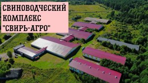 Прибыльный свиноводческий комплекс
