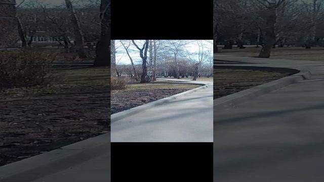 Школьный автопарк.mp4