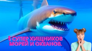 5 супер хищников морей и океанов.