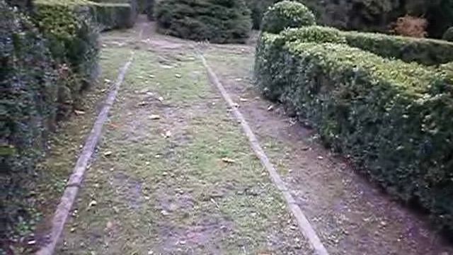 дендропарк осень 2012