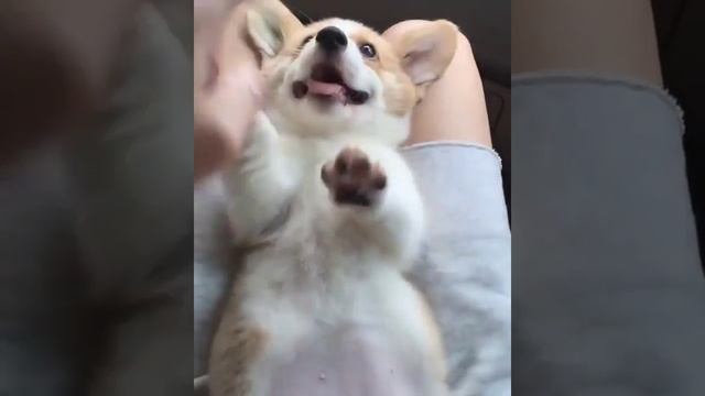 lil cutie.mp4