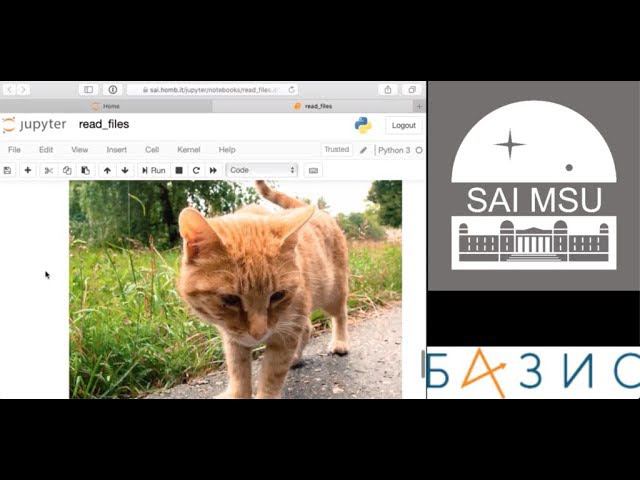 Спецкурс «Научный Python» 2018/2019 — 7