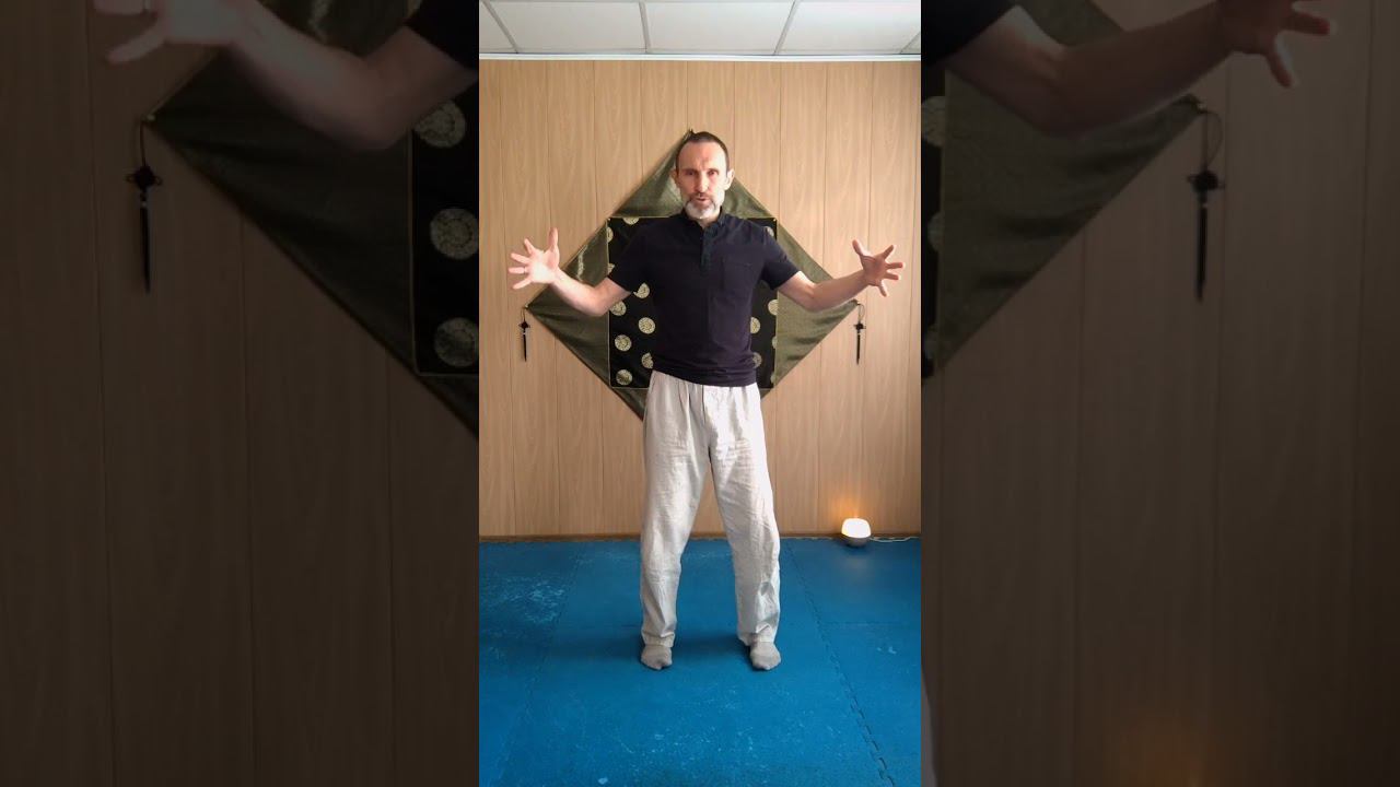 ТАЙЦЗИ ЧЕНЬ ШИ ЛАО ЦЗЯ Пробуждение /TAI CHI CHEN SHI LAO JIA Awakening ( Виктор Лактионов)