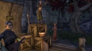 Over The Seas - The Elder Scrolls Online Bard