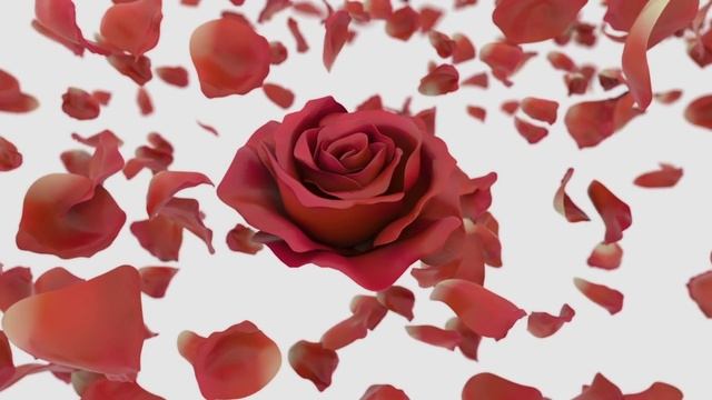Rose - 19299.mp4
