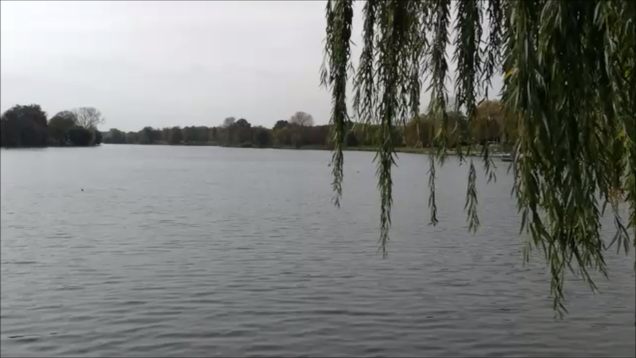 Озерной глади зеркала