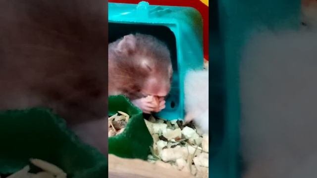 Я-ночью возле холодильника