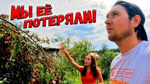 День рождения в саду у мамы, монтаж металлочерепицы своими руками, сломало яблоню, делаем крышу.