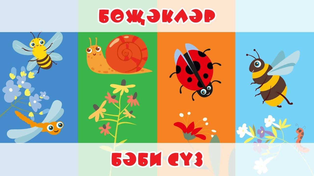 БӘБИ СҮЗ: бөҗәкләр / Насекомые / Изучаем виды насекомых с малышами
