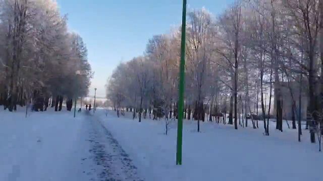 Прогулка по парку ЖК «Царево Village», январь 2021