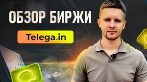 Обзор биржи Телега ин .Как закупить рекламу в Телеграм?