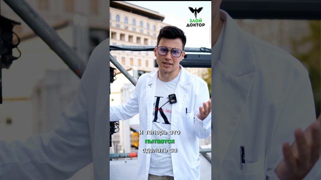 Взрослая жизнь