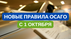 НОВАЯ ОБЯЗАННОСТЬ при продаже АВТО | СТРАХОВЩИК получит доступ к базам ГИБДД | Урегулирование ДТП