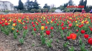 Дорогами Крыма