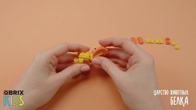 Собираем белку из конструктора QBRIX KIDS - коллекция детских конструкторов с видеоинструкциями