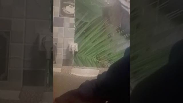 покупка