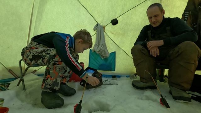 За живцом с сыном. Такого улова на перемет у меня еще не было