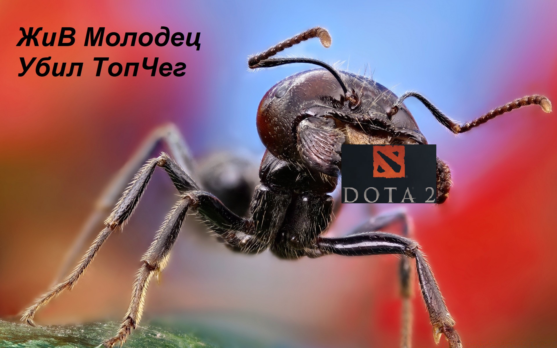Dota2 WEAVER.mp4
