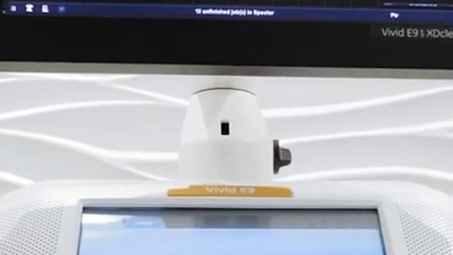 GE Vivid E9