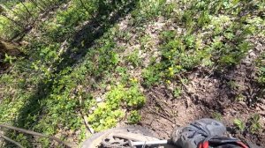 Останутся только сильнейшие или эндуро трек КУКУШКИН ОВРАГ в обратную сторону.