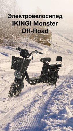 Электровелосипед IKINGI Monster Off Road