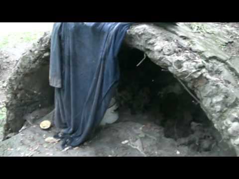 Бродячие собаки. Логово.