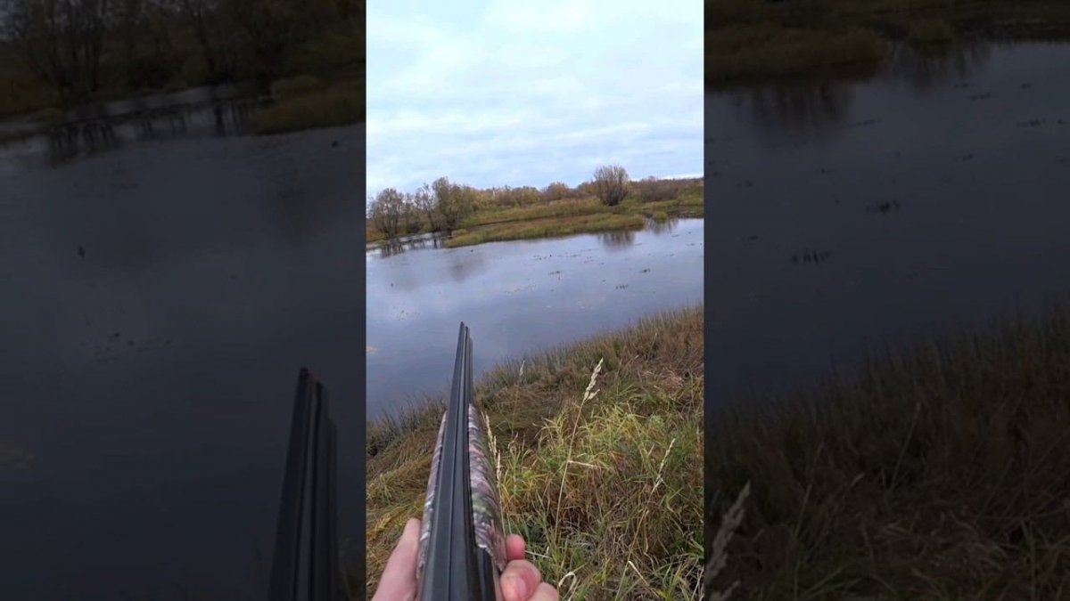 С Охоты На рыбалку на RUTUBE: 157 видео – смотреть онлайн и бесплатно ...