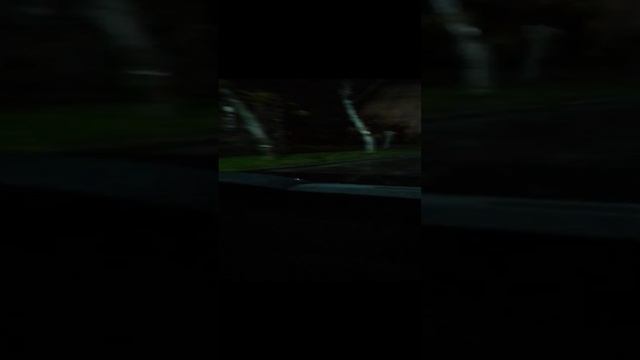 VID_20221118_024407.mp4
