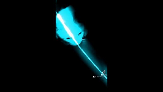 Медляк.mp4
