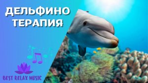 Дельфинотерапия. Целебные звуки дельфинов и трансовая музыка