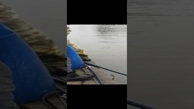 VID-20220621-WA0021.mp4